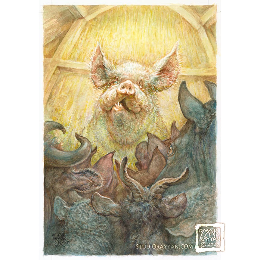 Illustrations | Studio Rayyan